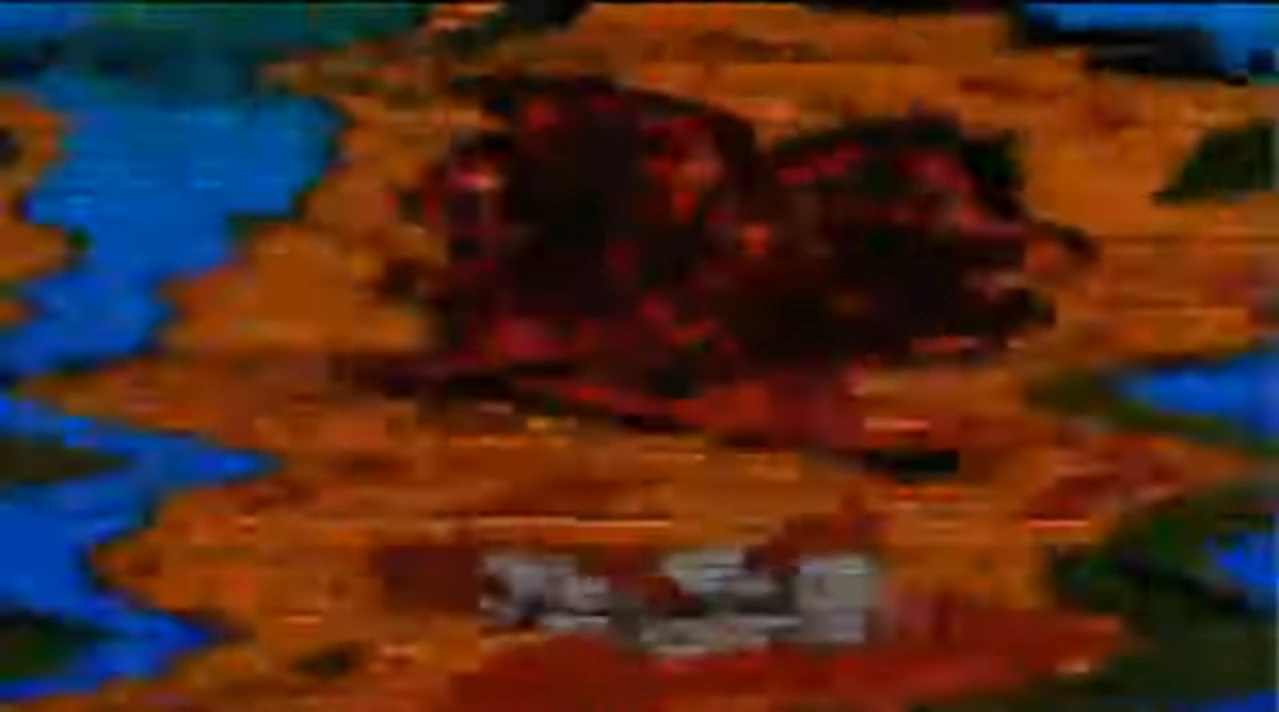 Squidwards Suicide Dead Kids
