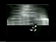 Suicidemouse.avi/Jojacob666 | Suicide Mouse Wiki | Fandom