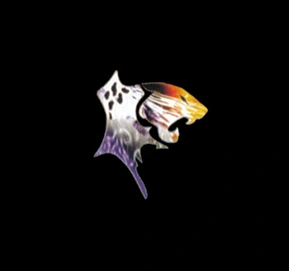 Beast Rune (Suikoden V) | Suikoden Wikia | Fandom
