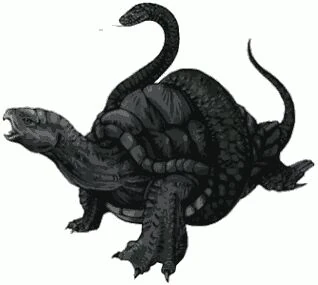 Genbu | Suikoden Wikia | Fandom