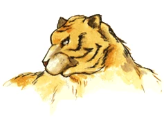 Fu Su Lu/Gallery | Suikoden Wikia | Fandom