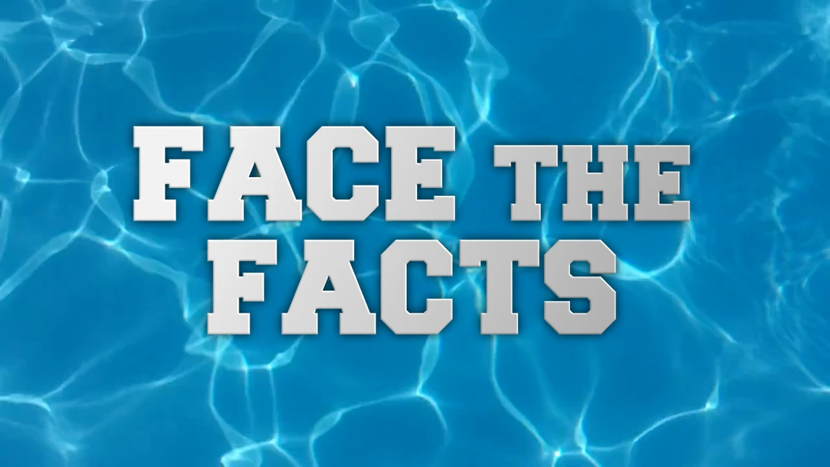 Face the Facts | Suitman's Big Brother Wiki | Fandom