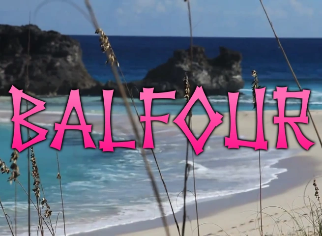 Balfour | Suitman's Survivor Second Generation Wiki | Fandom