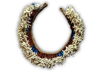 Immunity Necklace | Suitman's Survivor Second Generation Wiki | Fandom