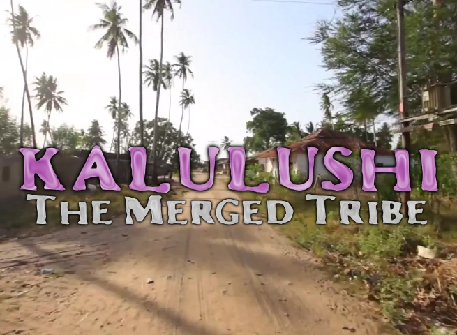 Kalulushi | Suitman's Survivor Second Generation Wiki | Fandom