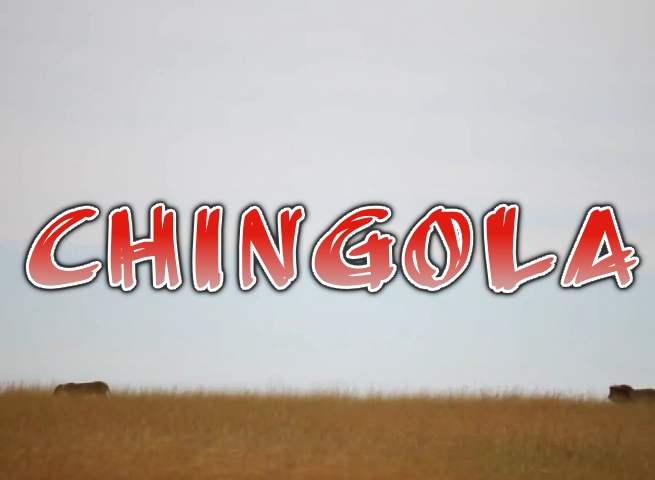 Chingola | Suitman's Survivor Second Generation Wiki | Fandom