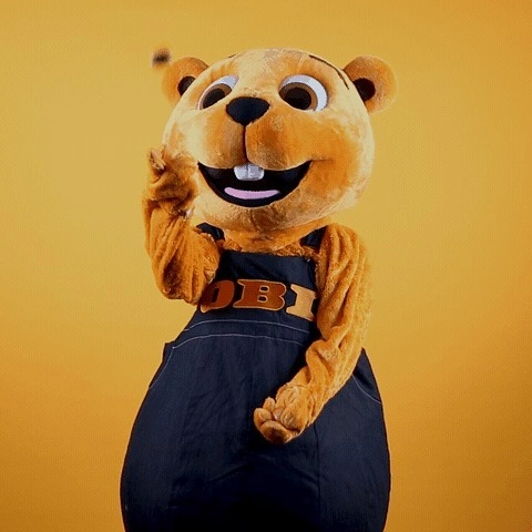 Obi Biber | Suleiman Universe Wiki | Fandom