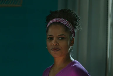 Cameron Palatas Ant Farm