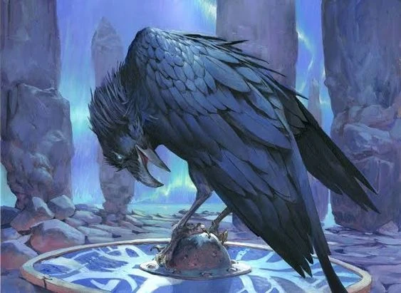 Kraas, the Echo Raven | Sumara Wiki | Fandom