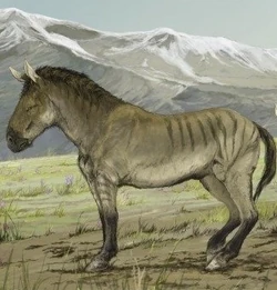 Sumerian domestication | Sumer Wikia | Fandom