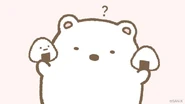 Shirokuma | Sumikko Gurashi Wiki | Fandom