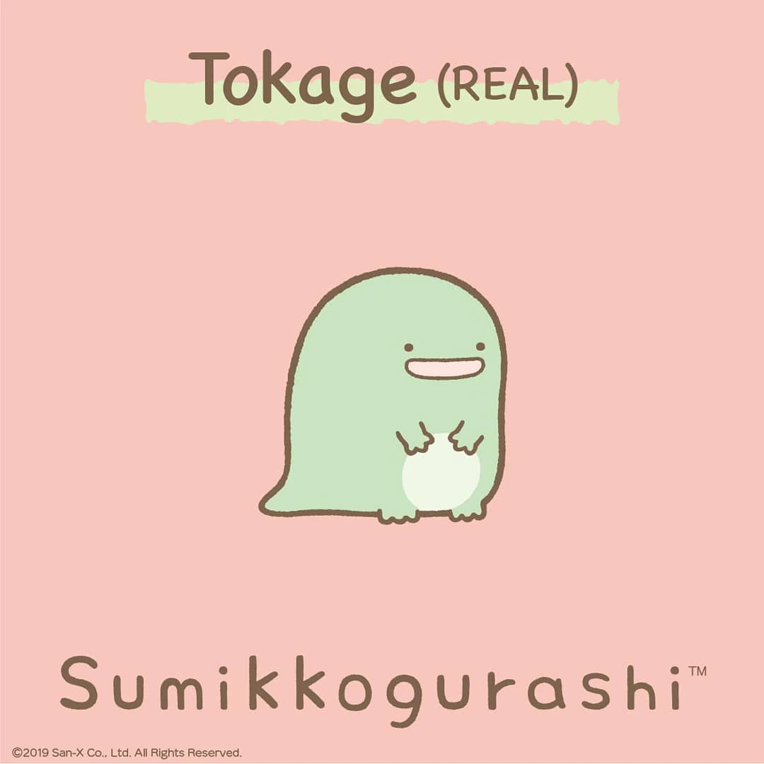 Category:Tokage (Real) | Sumikko Gurashi Wiki | Fandom