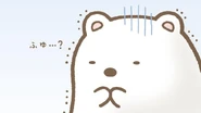 Shirokuma | Sumikko Gurashi Wiki | Fandom