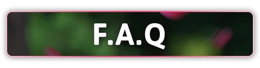 FAQ | Summer Heat Wiki | Fandom