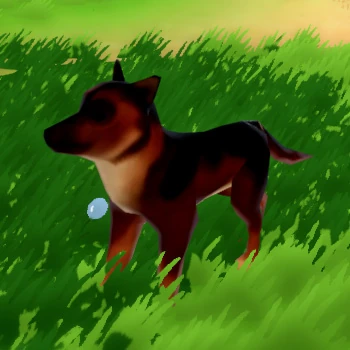 Dog | Summer in Mara Wiki | Fandom