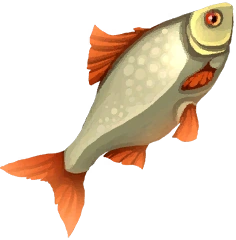 Salmon | Summer in Mara Wiki | Fandom