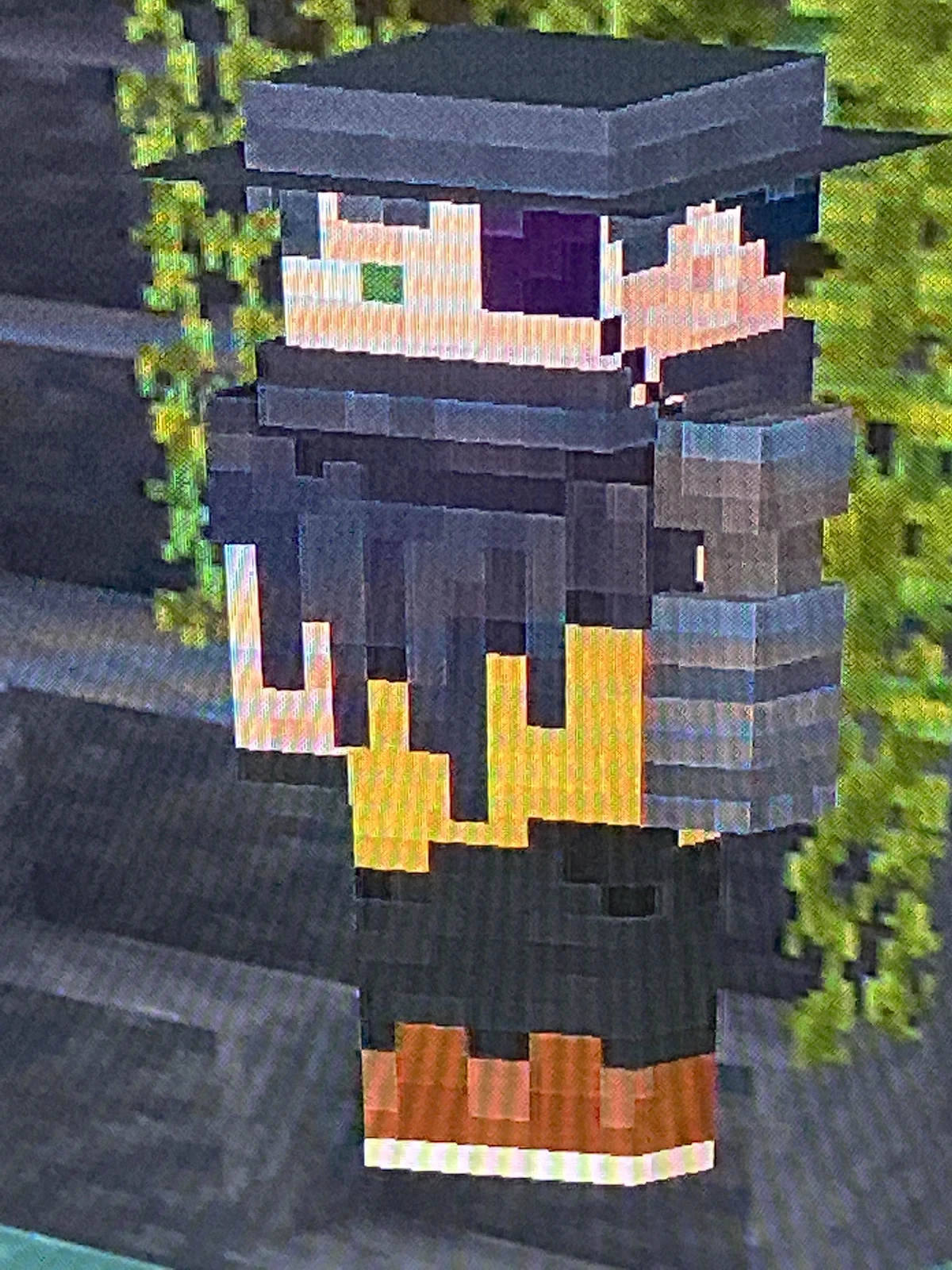 Ian | Summer SMP Wiki | Fandom