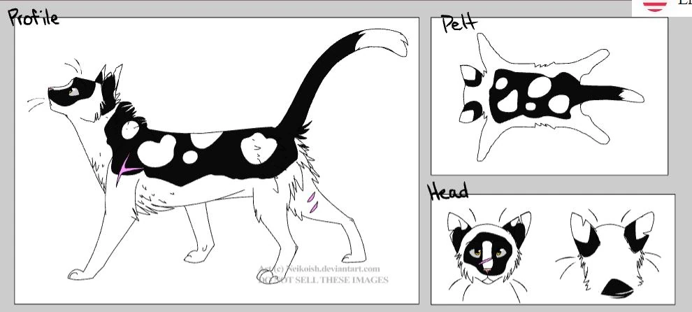 Whitepatch | Summercloud's OCs Wiki | Fandom