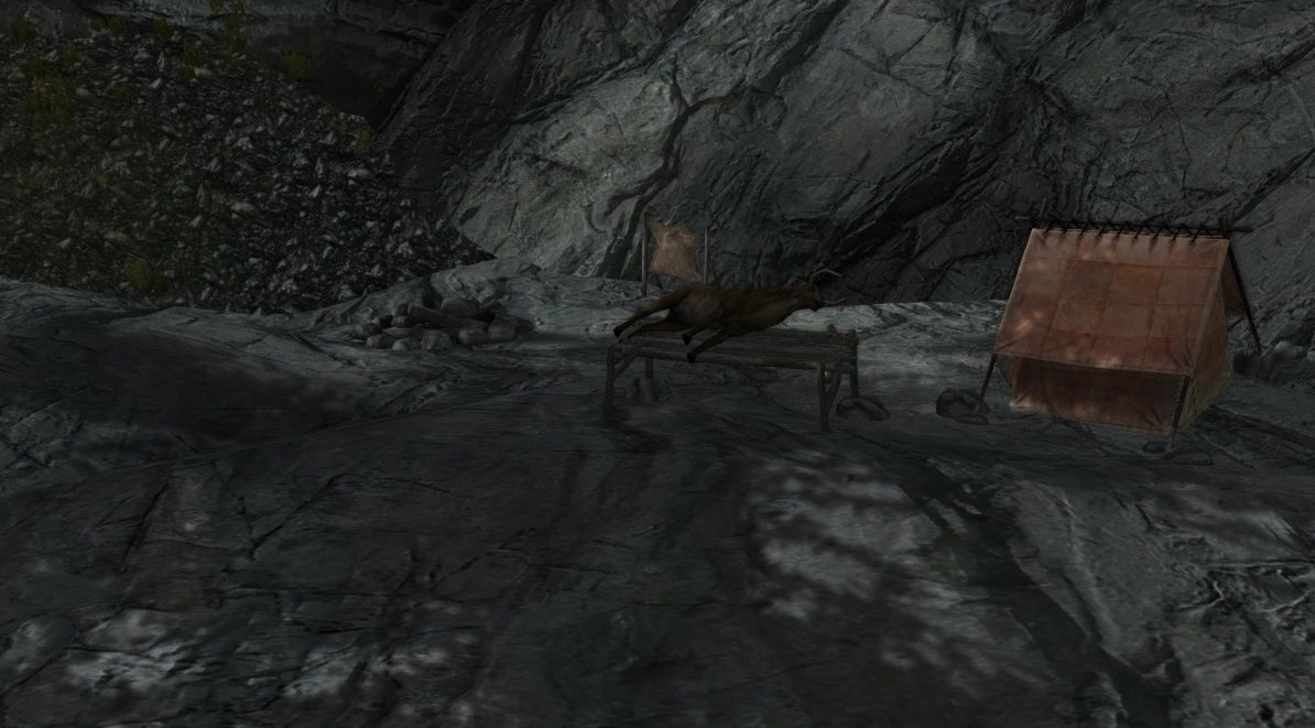 Mountainside Camp | Summerset Isle Wiki | Fandom