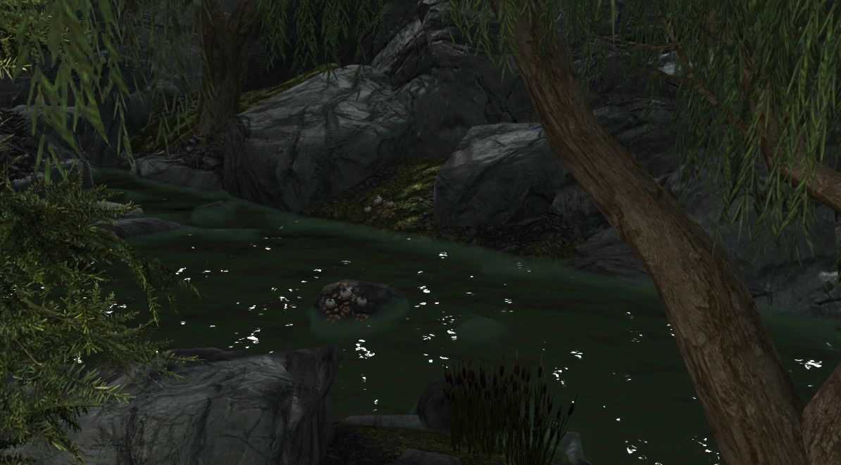 Shadow Pond Cavern | Summerset Isle Wiki | Fandom