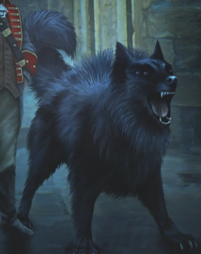 Kanid | Summoner Wiki | Fandom