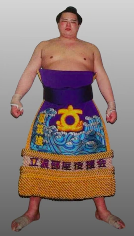 Futatsukuba Yuto | Sumowrestling Wiki | Fandom