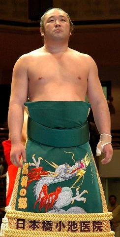 Dewanosato Hideyuki | Sumowrestling Wiki | Fandom