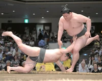 Nobehara Toma | Sumowrestling Wiki | Fandom