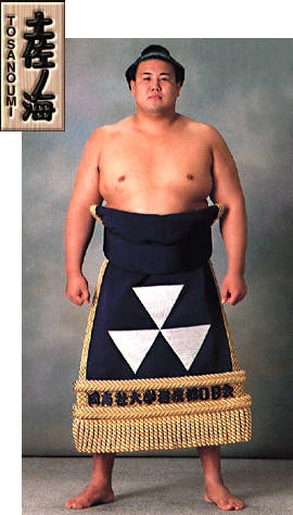 Tosanoumi Toshio | Sumowrestling Wiki | Fandom