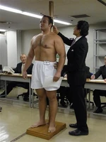 Osunaarashi Kintaro | Sumowrestling Wiki | Fandom