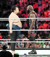 Hishofuji Hiroki | Sumowrestling Wiki | Fandom
