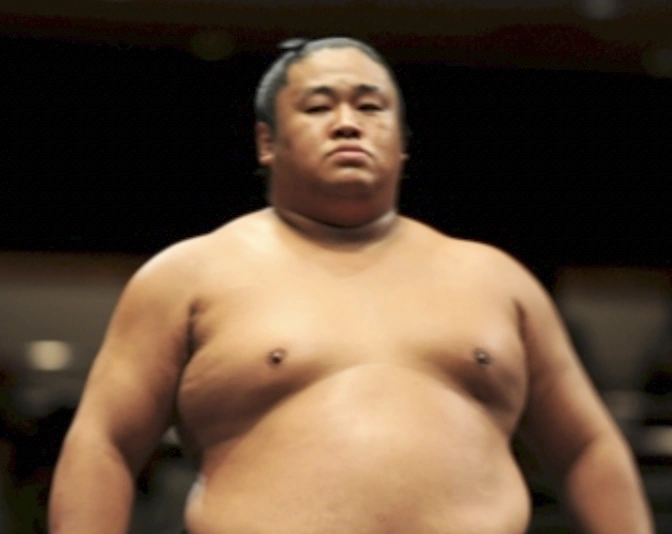 Hayasegawa Shuichi | Sumowrestling Wiki | Fandom