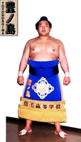 Toyonoshima Daiki | Sumowrestling Wiki | Fandom