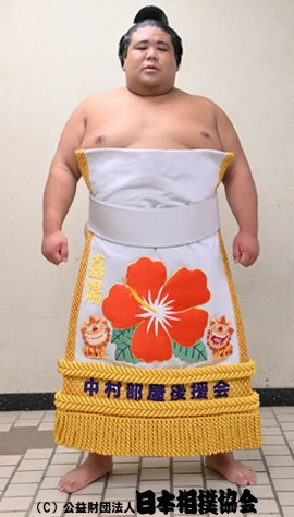 Kayo Yasutoki | Sumowrestling Wiki | Fandom