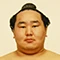 List of Yokozuna | Sumowrestling Wiki | Fandom