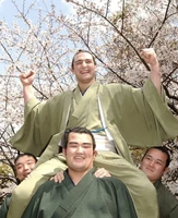 Kotooshu Katsunori | Sumowrestling Wiki | Fandom