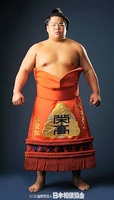 Daieisho Hayato | Sumowrestling Wiki | Fandom