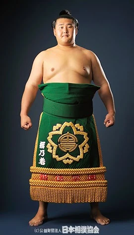 Category:South Korean Sumo Wrestlers | Sumowrestling Wiki | Fandom