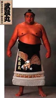 Musashimaru Koyo | Sumowrestling Wiki | Fandom