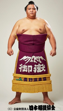 Category:2015 Debuts | Sumowrestling Wiki | Fandom