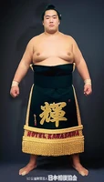Kagayaki Taishi | Sumowrestling Wiki | Fandom