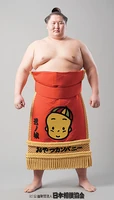 Ichinojo Takashi | Sumowrestling Wiki | Fandom