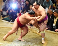 Daieisho Hayato | Sumowrestling Wiki | Fandom