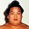 List of Yokozuna | Sumowrestling Wiki | Fandom