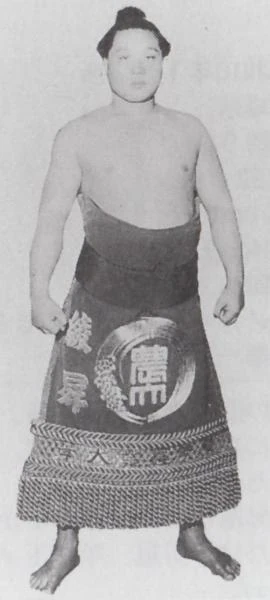 Ayanobori Takezo | Sumowrestling Wiki | Fandom