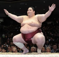 Yamamotoyama Ryuta | Sumowrestling Wiki | Fandom