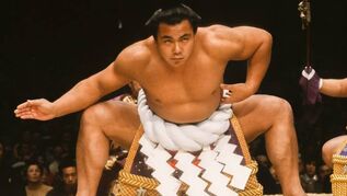Yokozuna | Sumowrestling Wiki | Fandom
