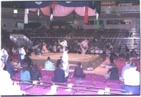 Asanokiri Mitsuru | Sumowrestling Wiki | Fandom