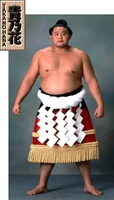 Takanohana Koji | Sumowrestling Wiki | Fandom