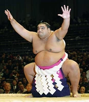 Musashimaru Koyo | Sumowrestling Wiki | Fandom
